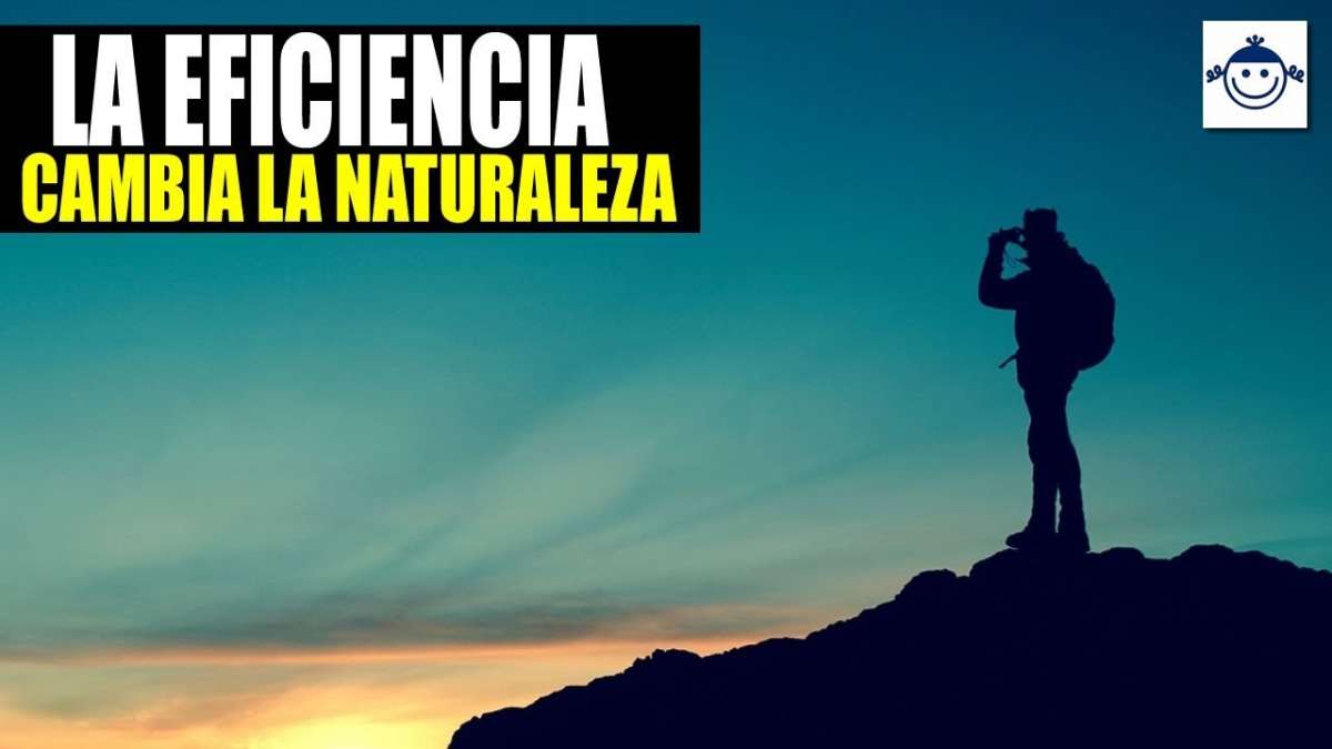 🛑 Eficiencia | Cambiar la naturaleza ¡No te preocupes por nada, ora por ...